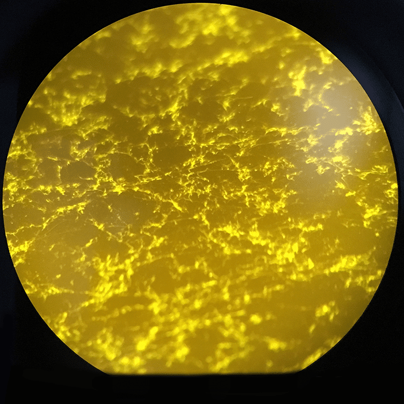 Tout sur la production des PMB - VIALAB